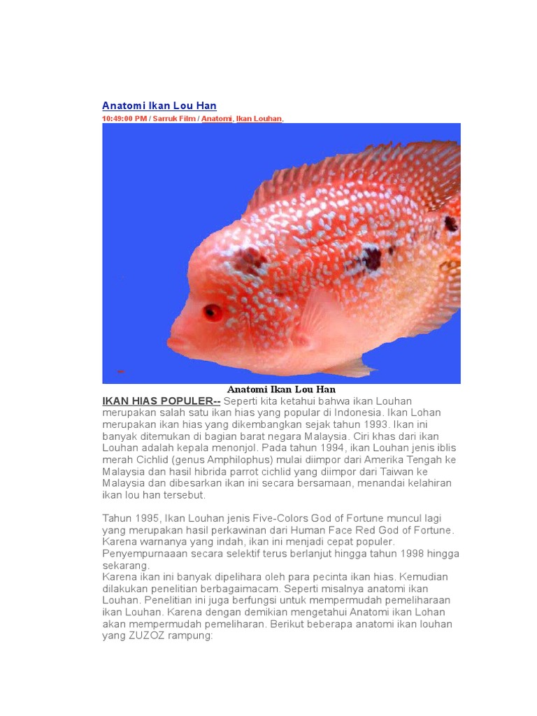 Anatomi Ikan Lou Han | PDF