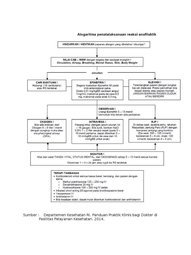 Algoritma Syok Anafilaktik | PDF