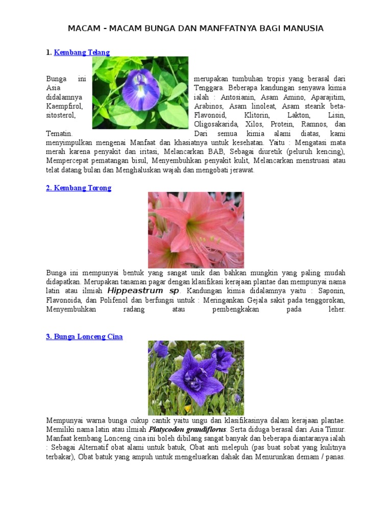 Bunga Dan Khasiatnya | PDF