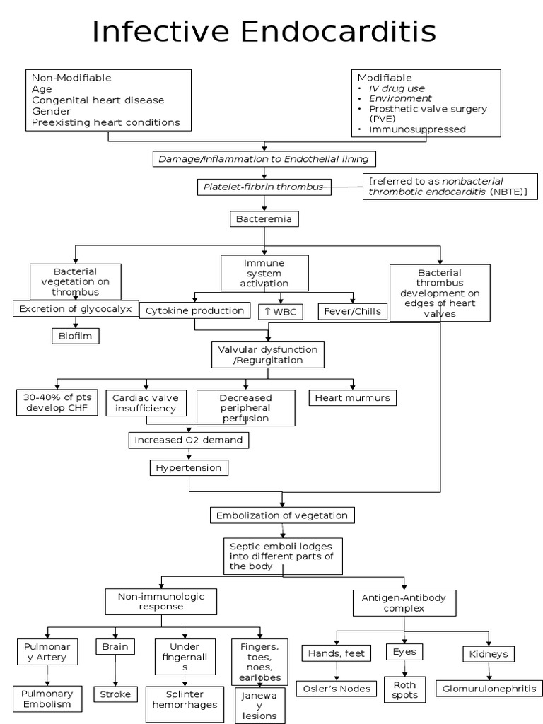 Infective Endocarditis: Non-Modifiable Age Congenital Heart Disease ...