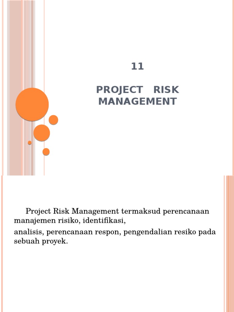 11 Project Risk Management | PDF