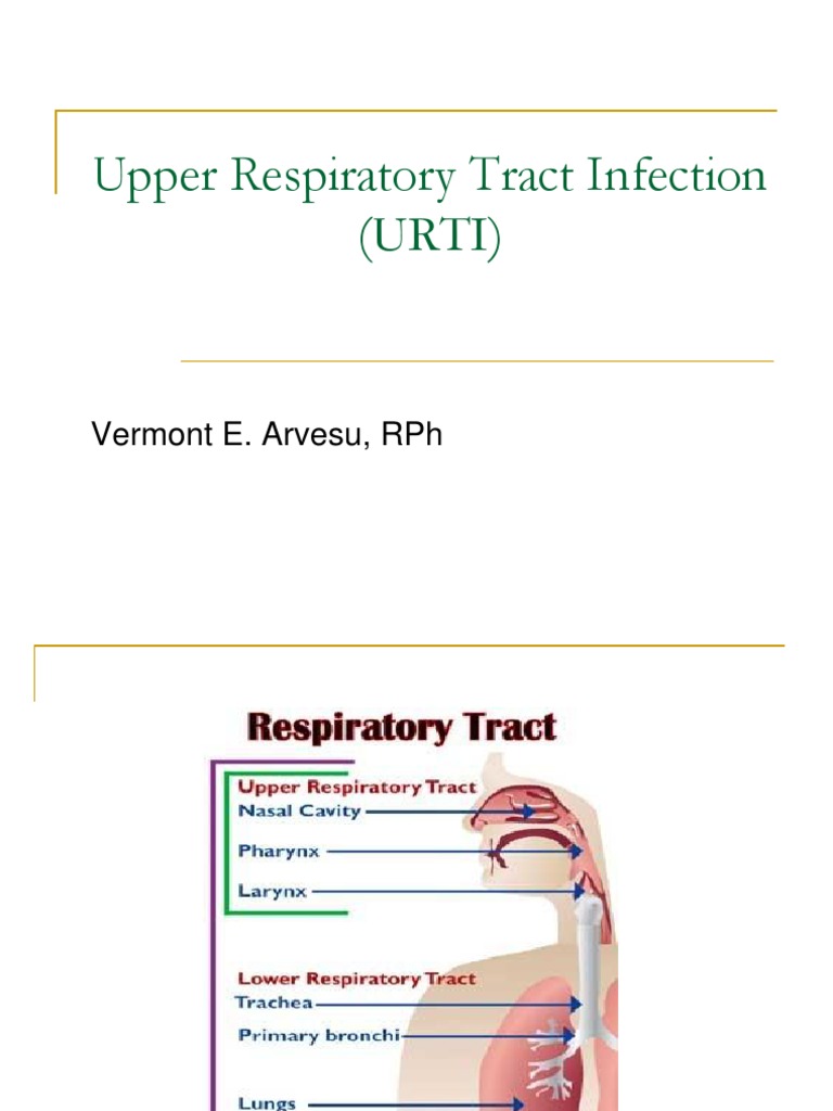 Unit X URTI | PDF | Streptococcus | Diseases And Disorders