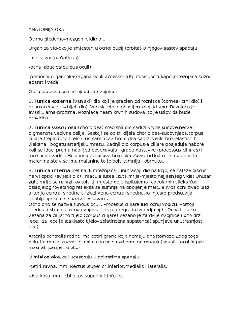 Anatomija Oka | PDF
