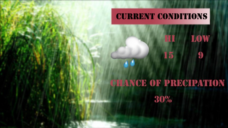 Current Conditions | PDF