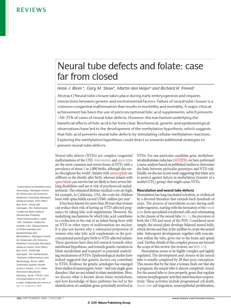 Neural Tube Defects and Folate: Case Far From Closed: Reviews | PDF ...