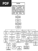 Pathway Perdarahan Antepartum | PDF