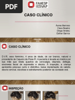 Herbicida Flumyzin 500 SC: Guia de Uso | PDF | Agricultura | Batata