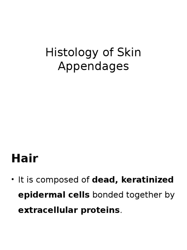 Skin Appendages: Structure and Function | PDF | Nail (Anatomy) | Skin