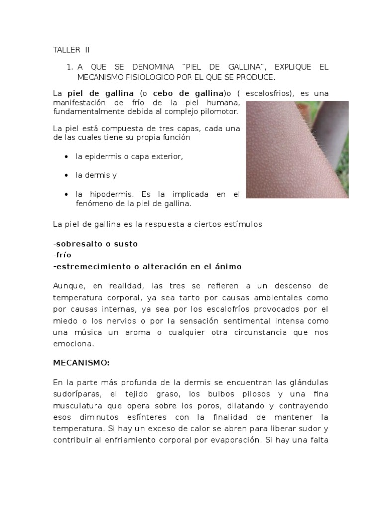 Tarea de Pato | PDF | Piel | Sistema tegumentario