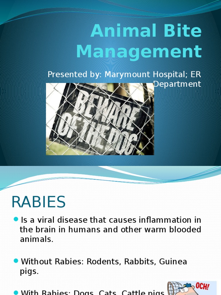 Animal Bite Management | PDF | Rabies | Veterinary Medicine