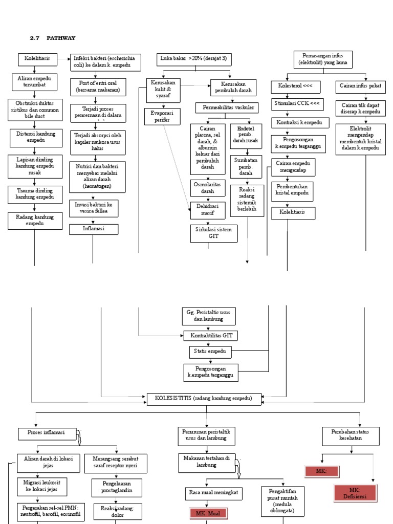 Pathway Kolelitiasis dan Kolesistitis | PDF | Sains & Matematika