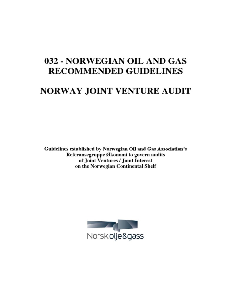 Norway JV Audit Guidelines | PDF | Auditor's Report | Audit