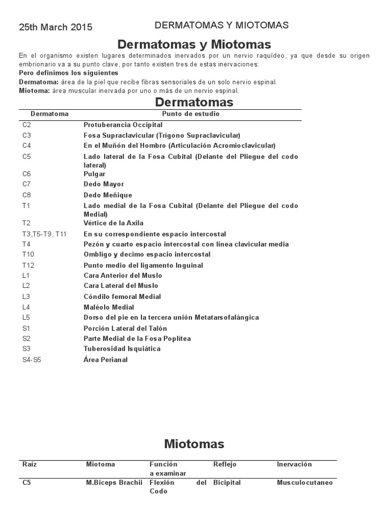 Dermatomas y Miotomas | PDF