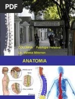 Escala de Pfirrmann | PDF