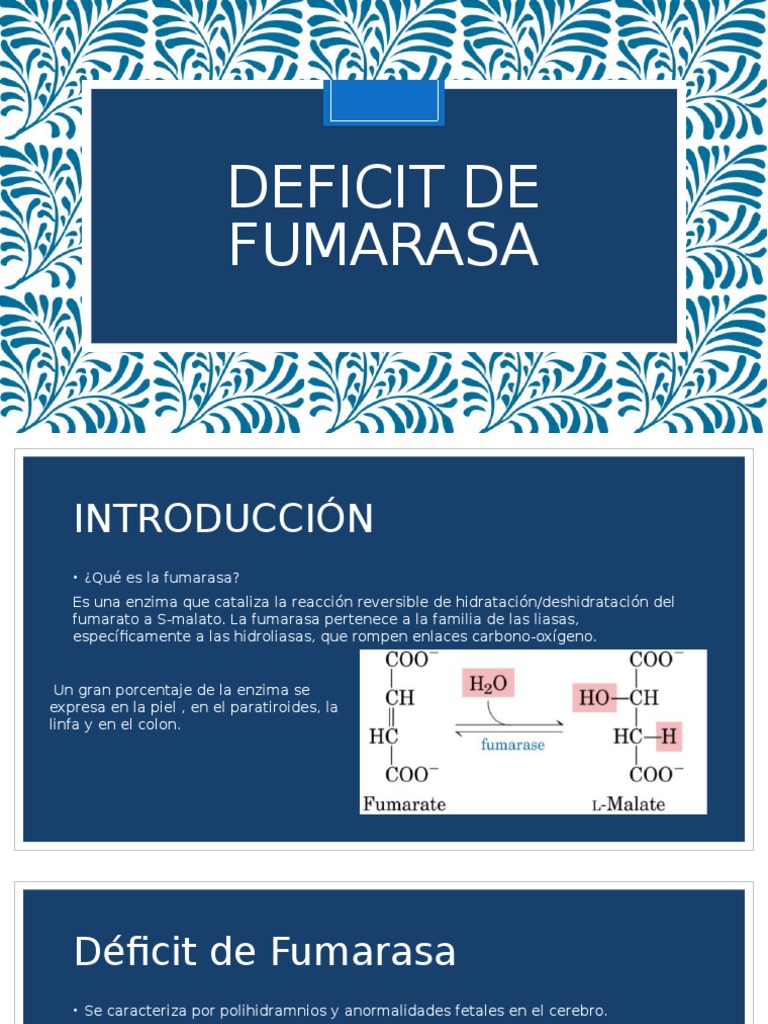 Deficit de Fumarasa | PDF