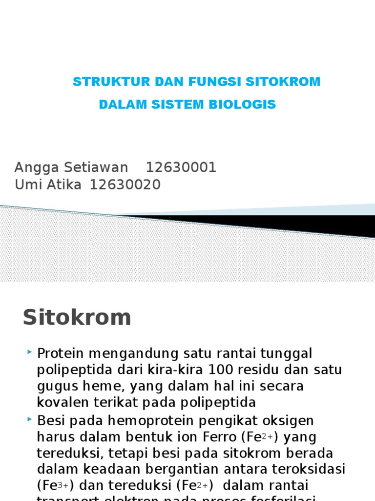 Struktur Dan Fungsi Sitokrom Dalam Sistem Biologis Aa | PDF