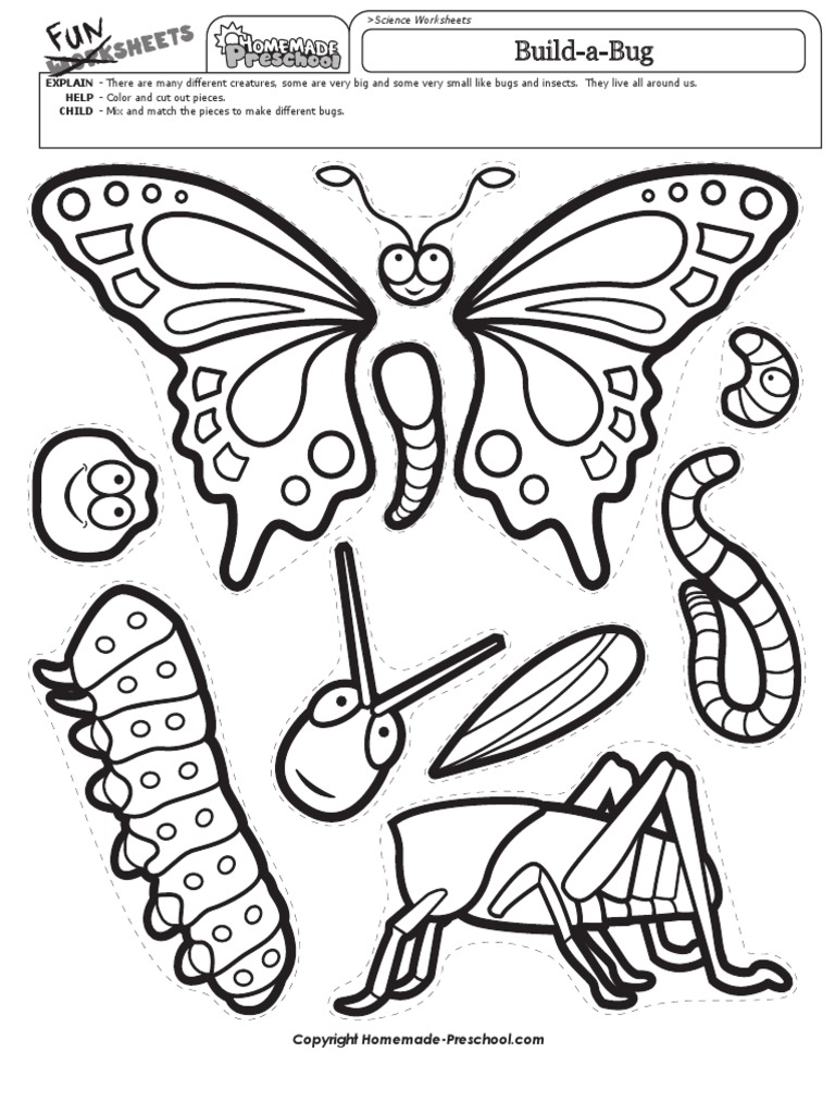 Build-a-Bug: Explain Help Child | PDF