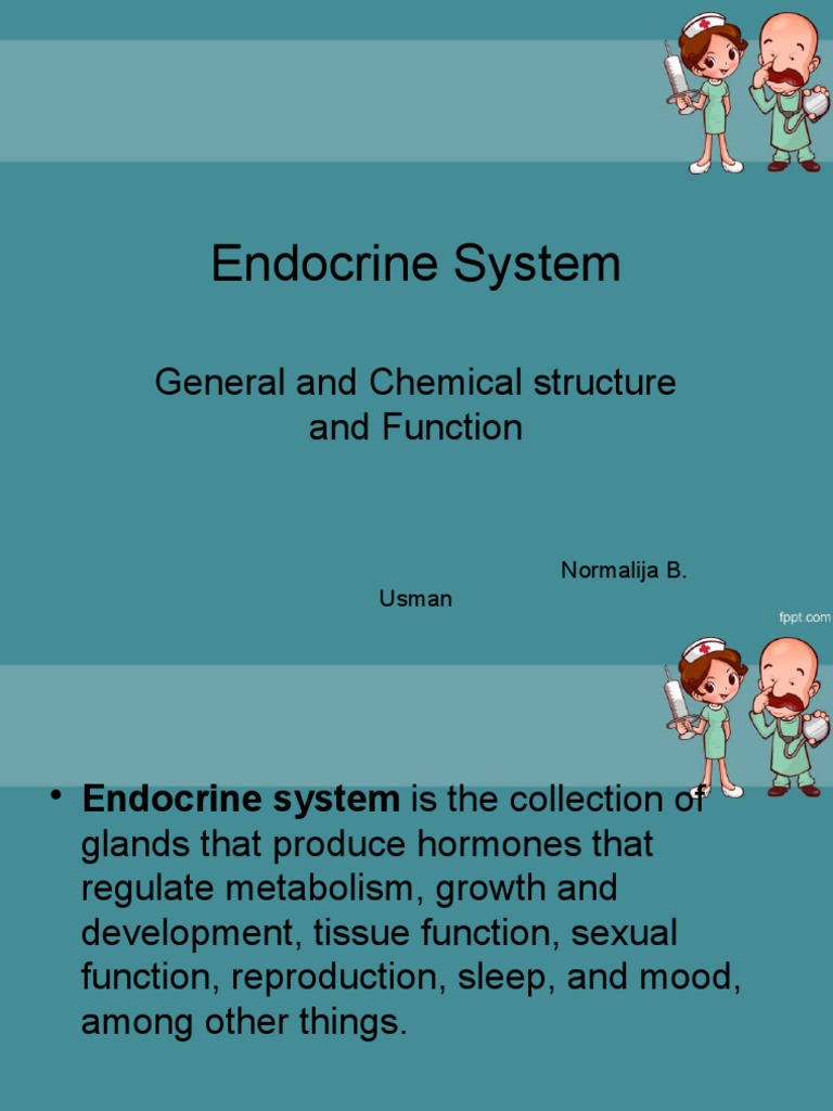 Endocrine System: General and Chemical Structure and Function | PDF ...