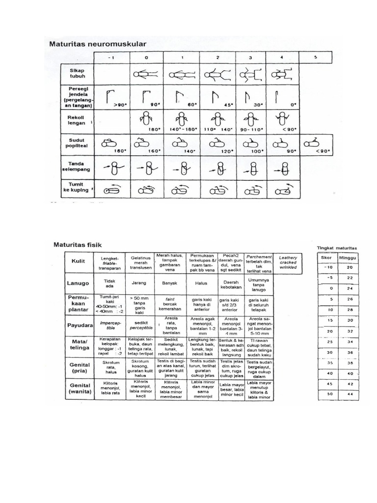 New Ballard Score.docx