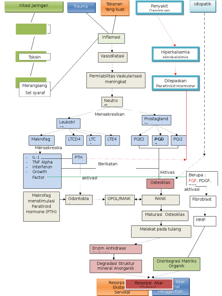 Skema Patogenesis | PDF