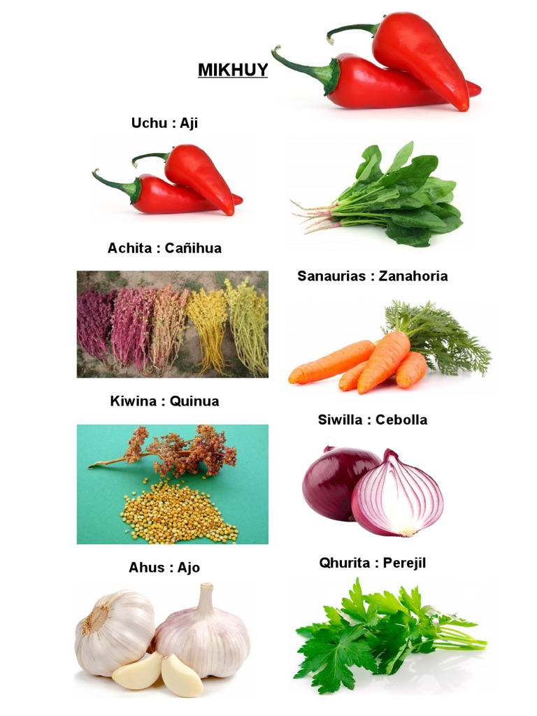 Alimentos y verduras en quechua | PDF