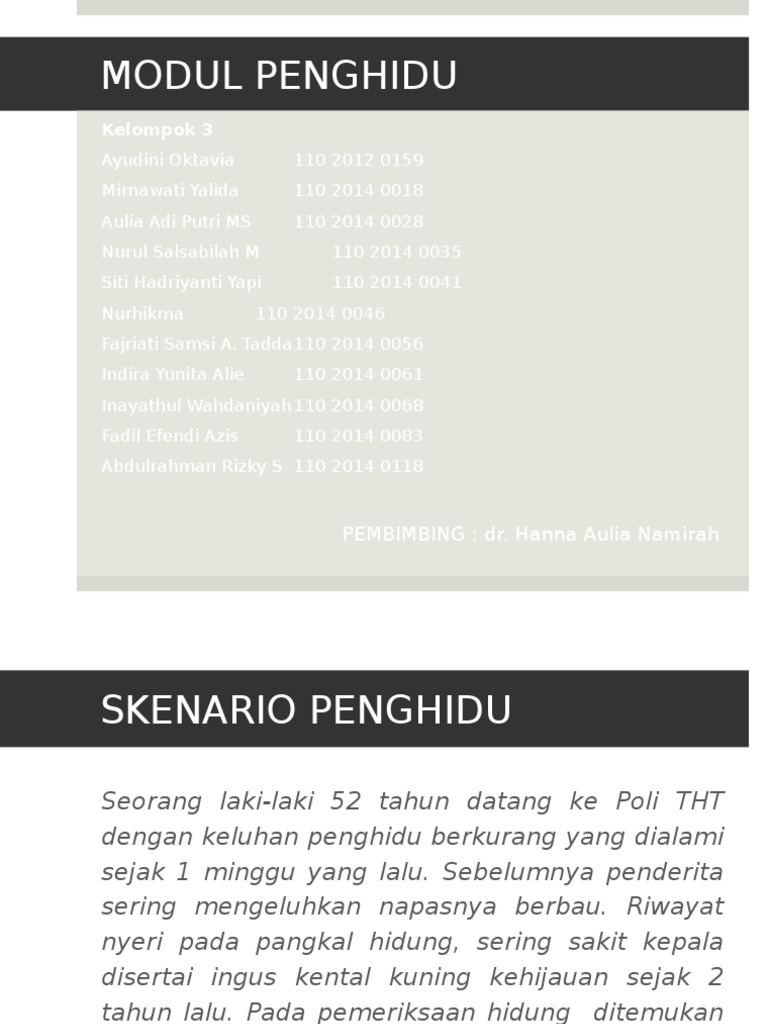 Modul Penghidu KLP 3 | PDF