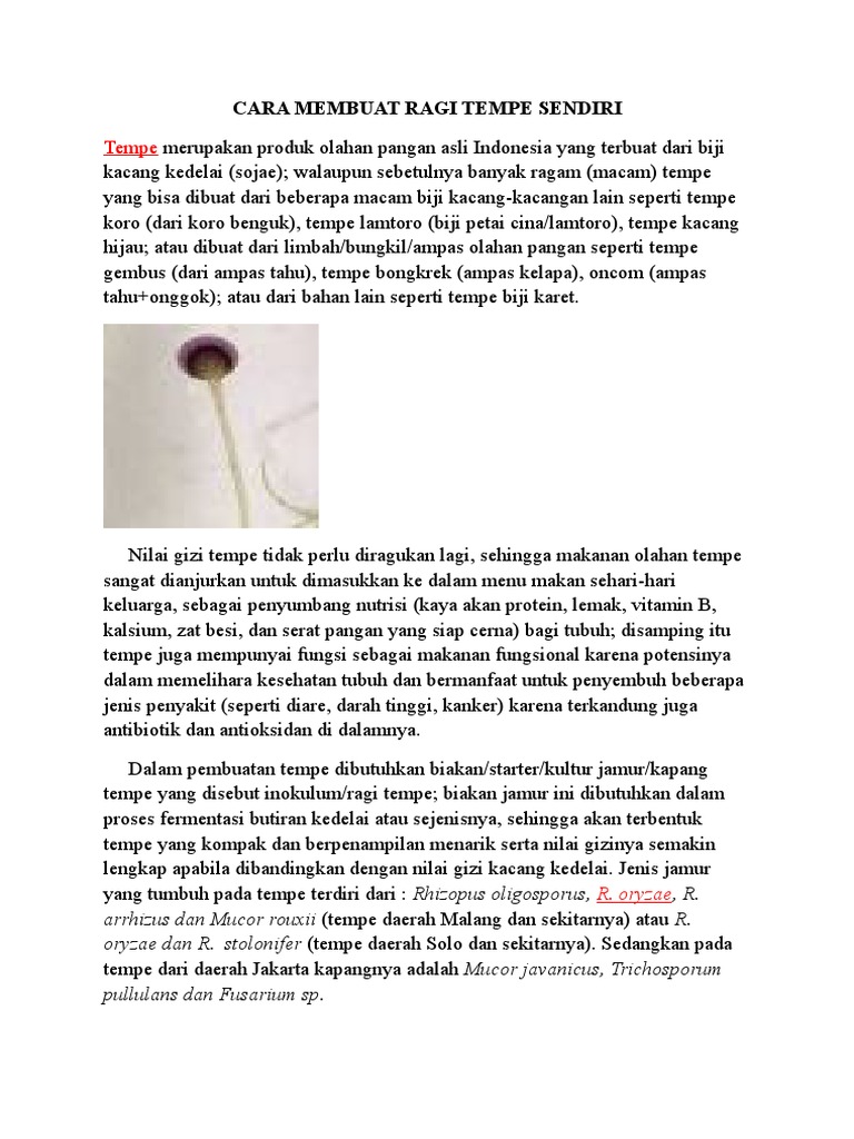 Cara Membuat Ragi Tempe Sendiri | PDF