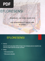 Perbedaan Erosi Dan Ekskoriasi | PDF