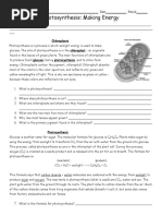 Seed Germination Report Sample (Easy) | PDF | Seedling | Seed