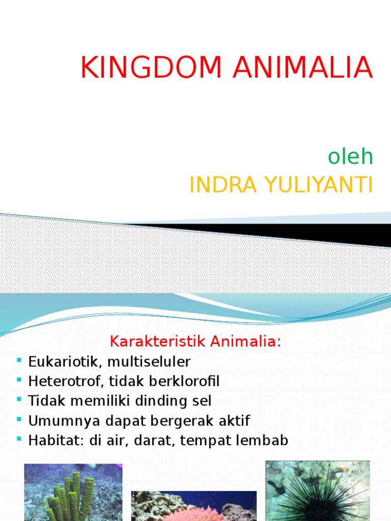 Animalia | PDF