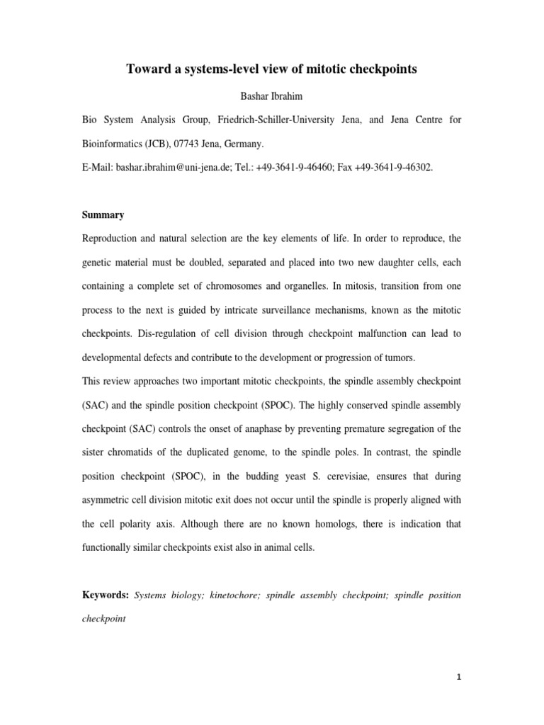 Mitotic Checkpoints in Cell Division | PDF | Mitosis | Cell Cycle