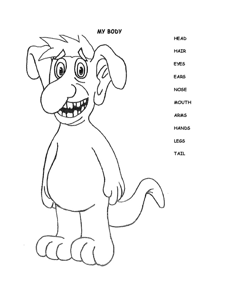 My Body: Head Hair Eyes Ears Nose Mouth Arms Hands Legs Tail | PDF