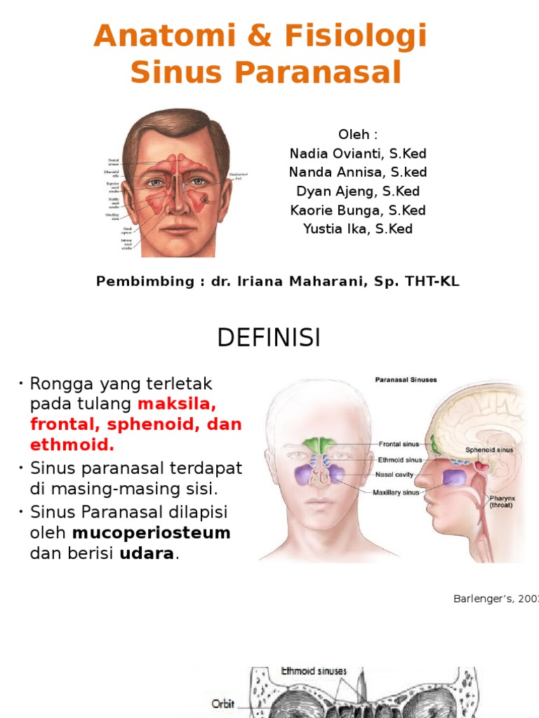 Anatomi & Fisiologi Sinus Paranasalis | PDF