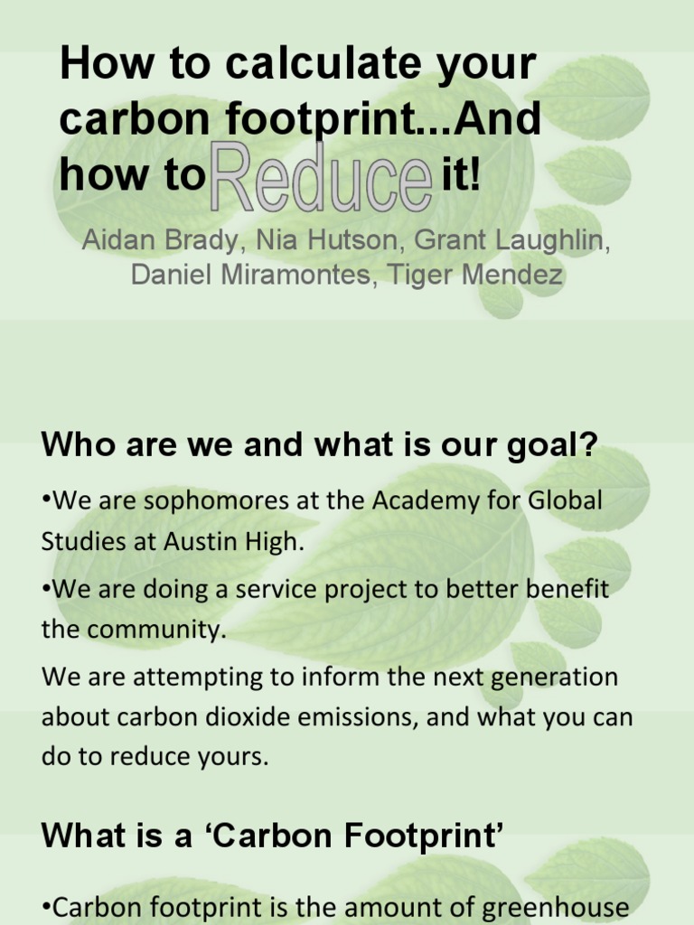 Co2 Powerpoint | PDF