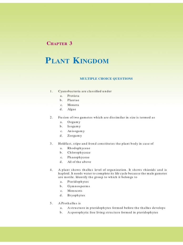 Plant Kingdom | PDF | Plants | Ploidy