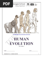 Human Evolution Chart | PDF | Homo | Human Evolution