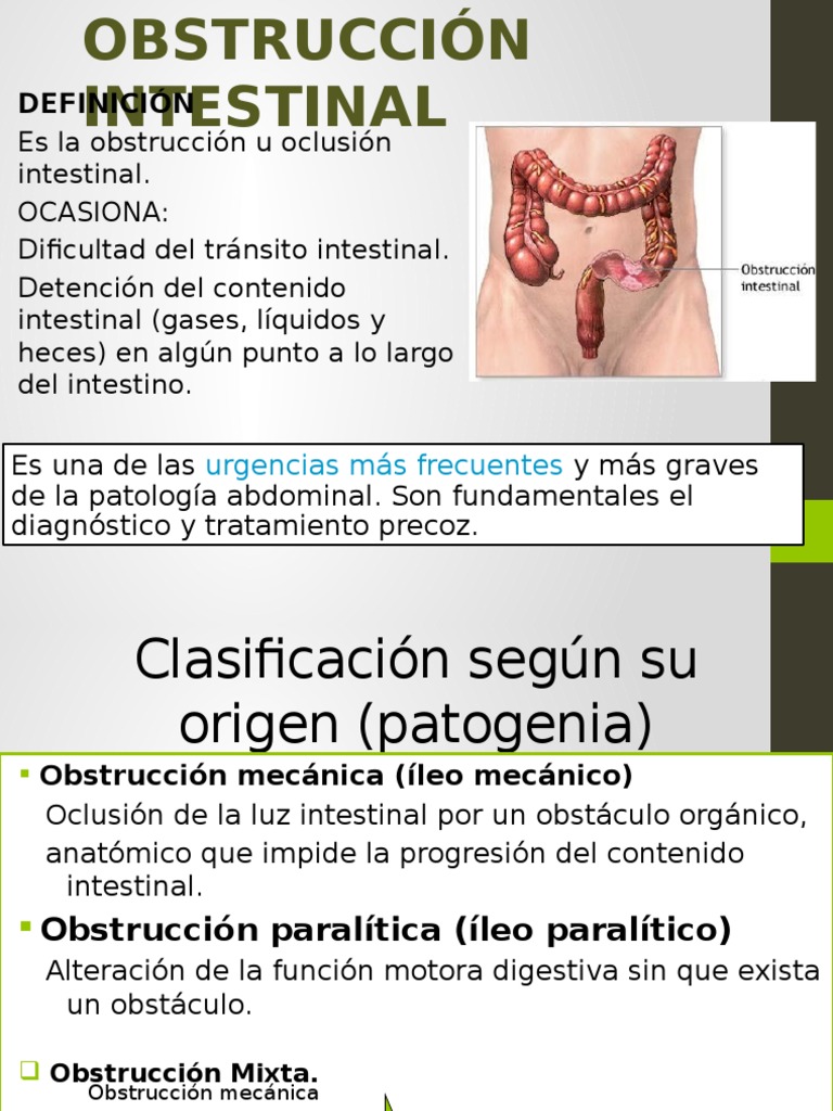 Clasificación y manejo de obstrucción intestinal | PDF | Herida ...