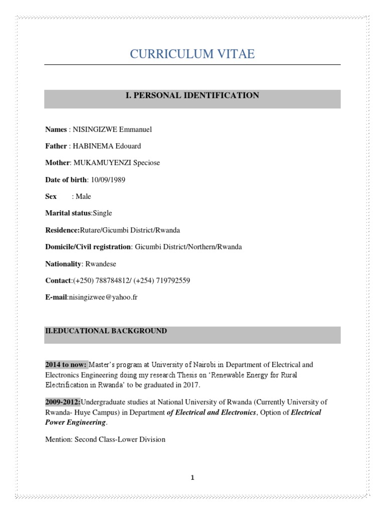 CV - Emmanuel PDF | PDF | Engineering | Science And Technology