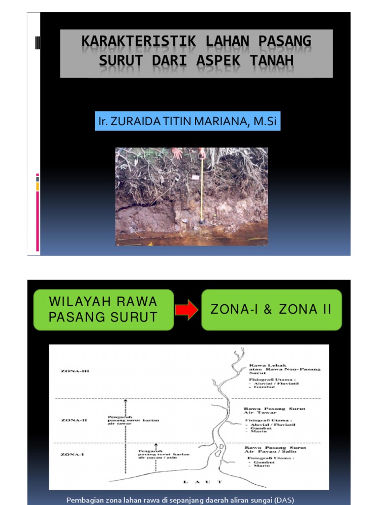 Pertemuan 4. KARAKTERISTIK LAHAN PASANG SURUT DARI ASPEK TANAH-Z.TITIN ...