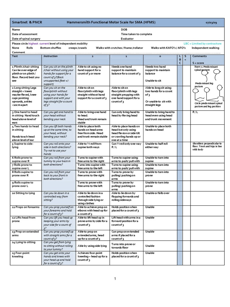 hfmse score sheet proforma 07 03 09 | Anatomical Terms Of Motion ...