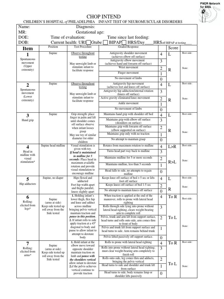 Chop Intend For Sma Type I - Score Sheet | PDF | Anatomical Terms Of ...