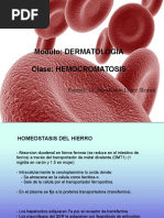 Hemosiderina y Hemosiderosis: Diagnóstico y Efectos | PDF