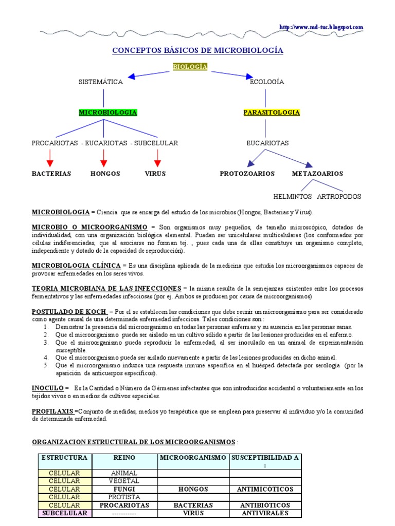 Conceptos Básicos de Microbiología | PDF | Virus | Las bacterias
