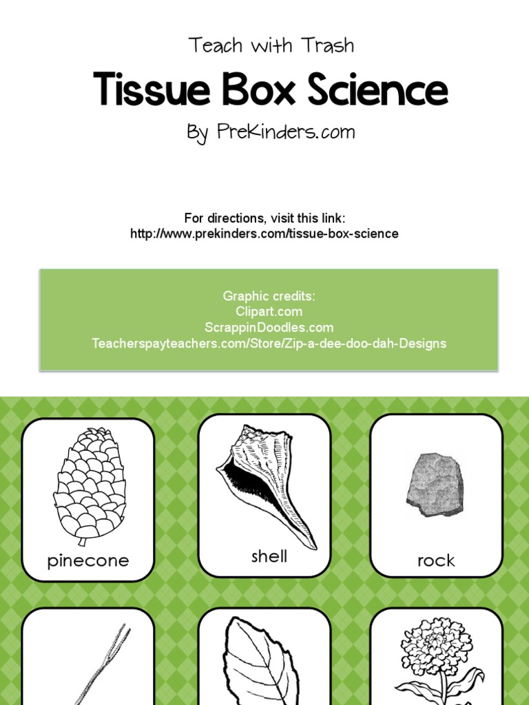 Tissue Box Science: Teach With Trash | PDF | Social Science