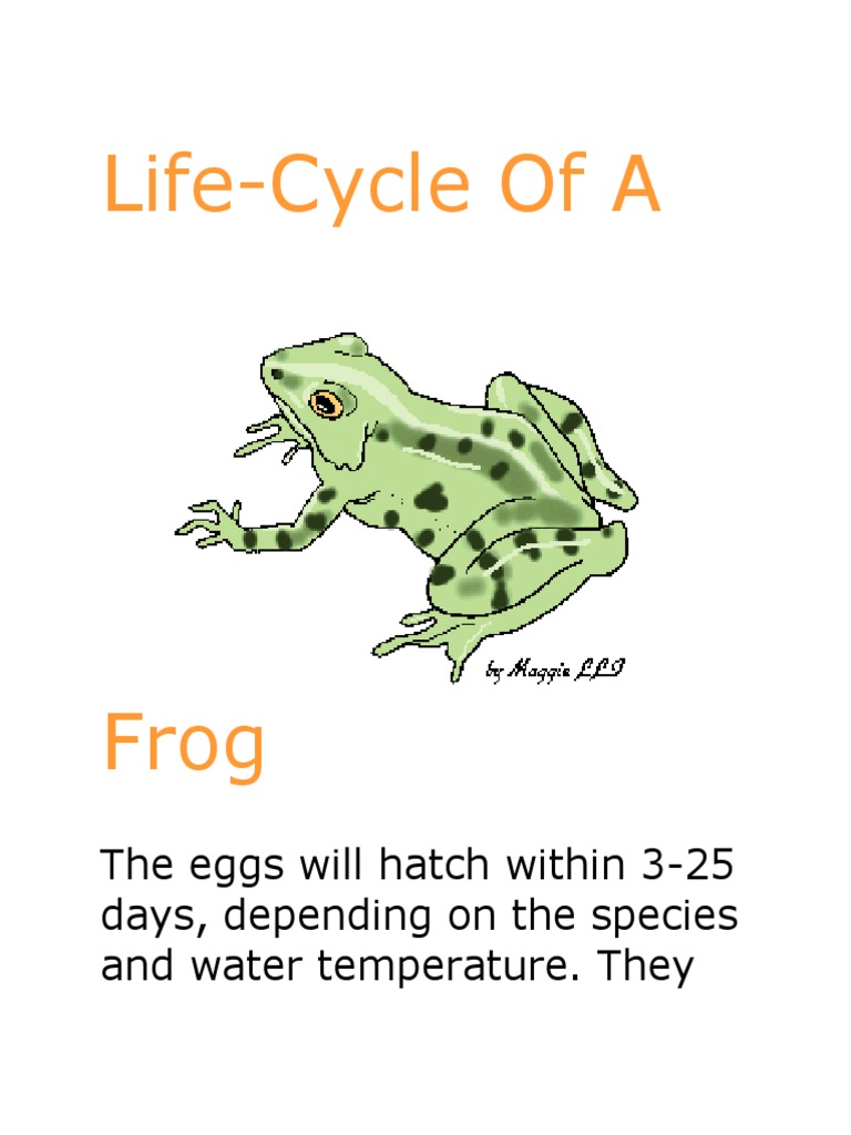 Life Cycle of A Frog | PDF