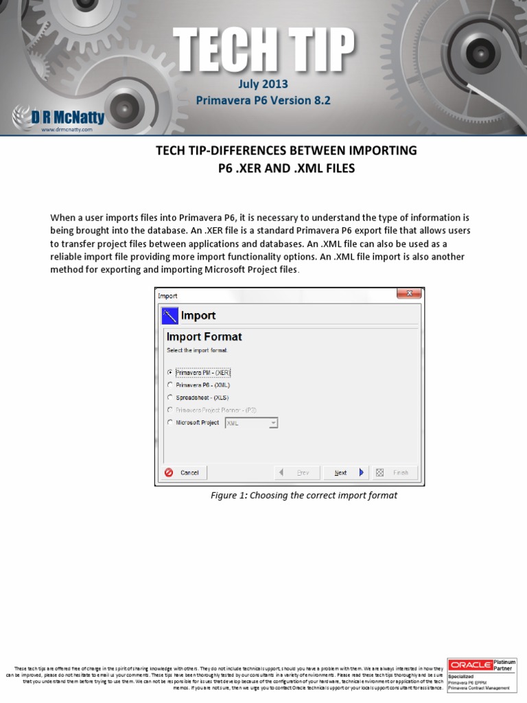 Tech Tip - Differences Between Importing P6 .Xer and .XML Files | PDF ...
