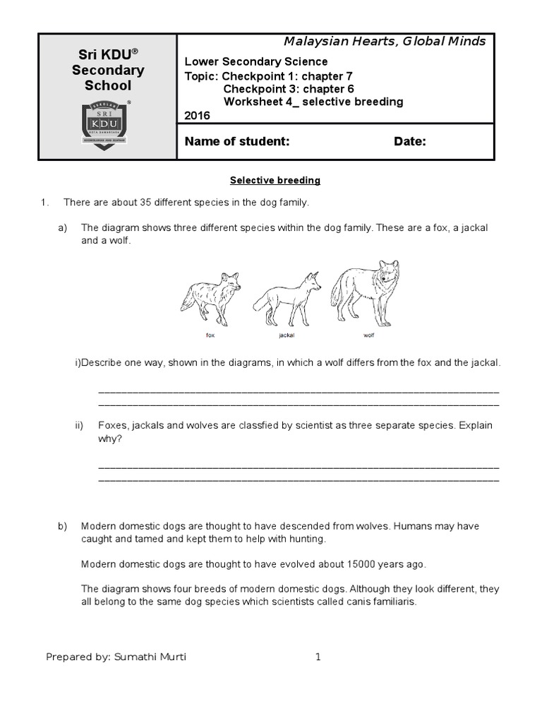 Chapter 3 4 Selective Breeding | PDF | Dogs | Maize