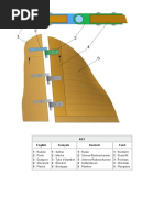 Lines Plan (Ferry Roro) 2 | PDF | Length | Shipping