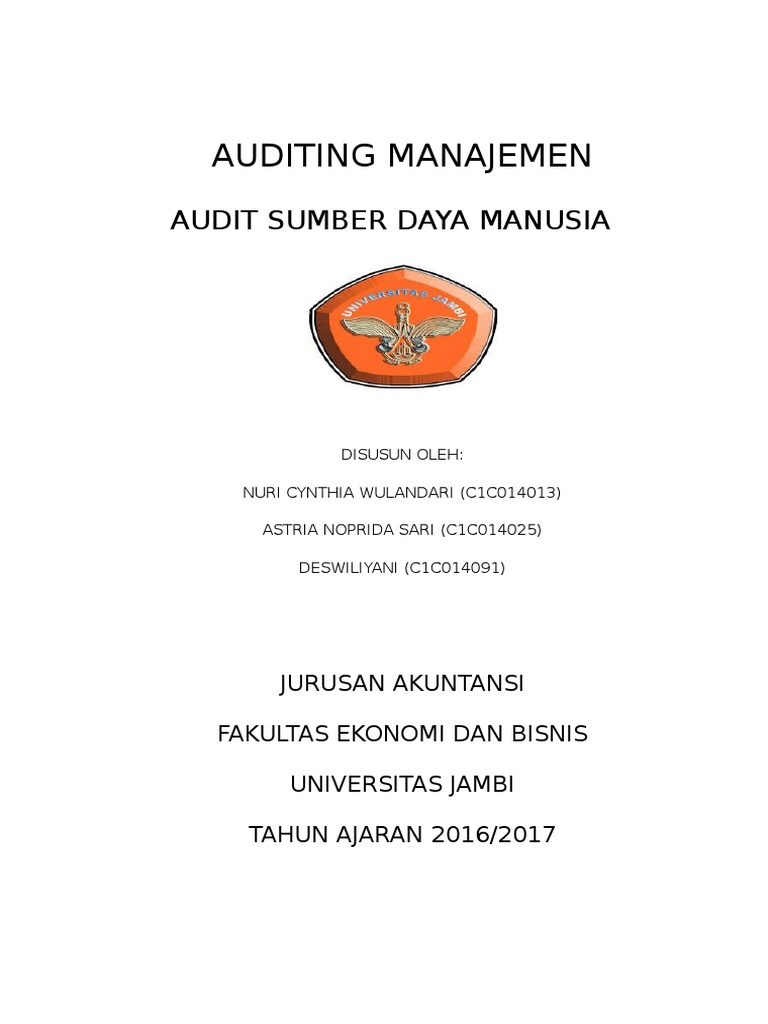 Audit SDM | PDF