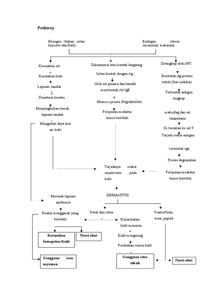 Pathway Dermatitis